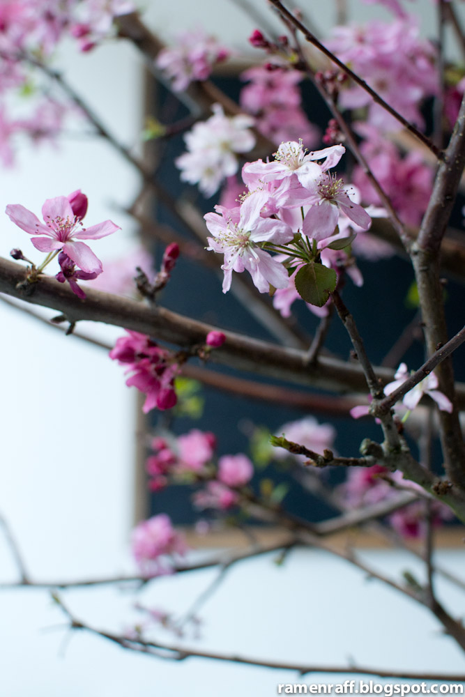 Ramen Raff: Paramount Coffee Project, Surry Hills
