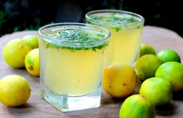 Lemon Squash | Ambrosia