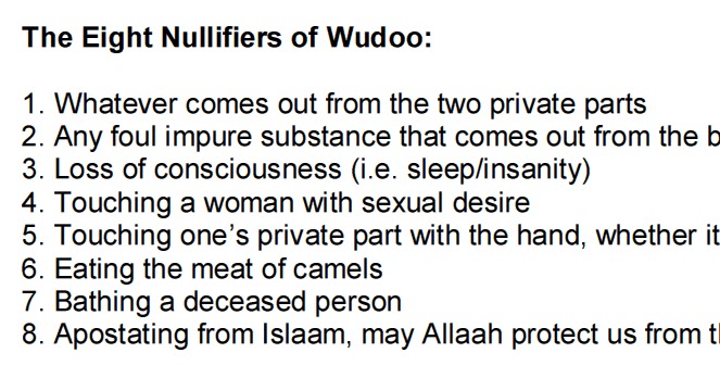 Islam in all language: Wuzu (Wudhu)