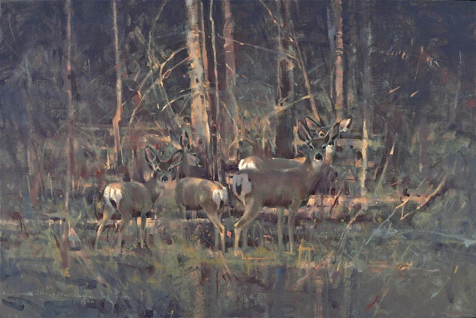 Jim Morgan Art: Current Works