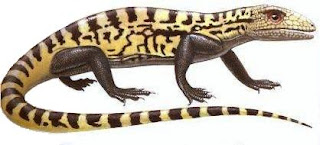 Blog de la Vida Prehistórica: Paleothyris