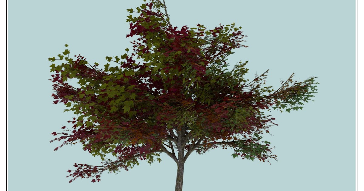 Adrian's Images: WHAT A PALAVER.