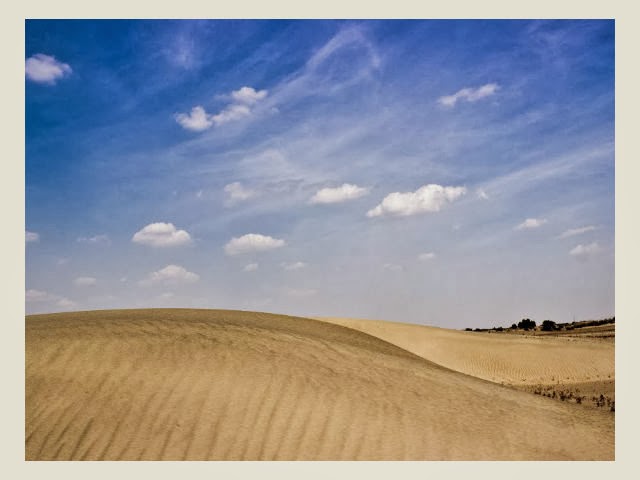 Spreebird: Thal desert