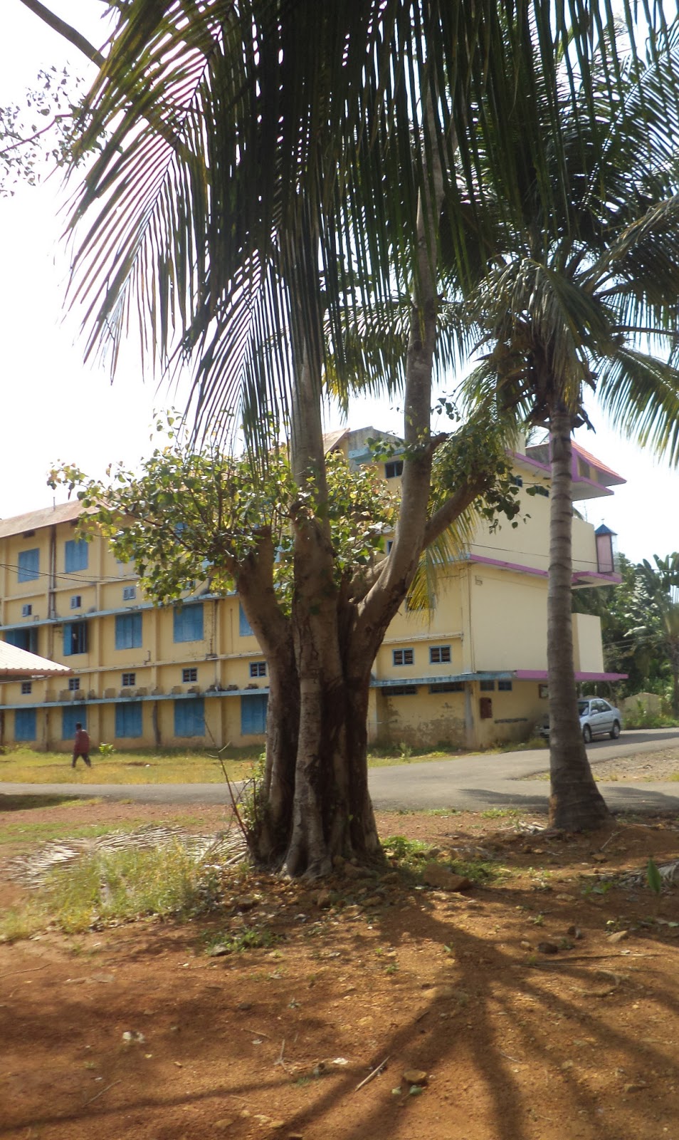 ST:XAVIER'S COLLEGE KOTHAVARA. PHOTO BLOG