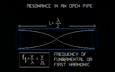The Medical Cat: Open/Closed Pipes
