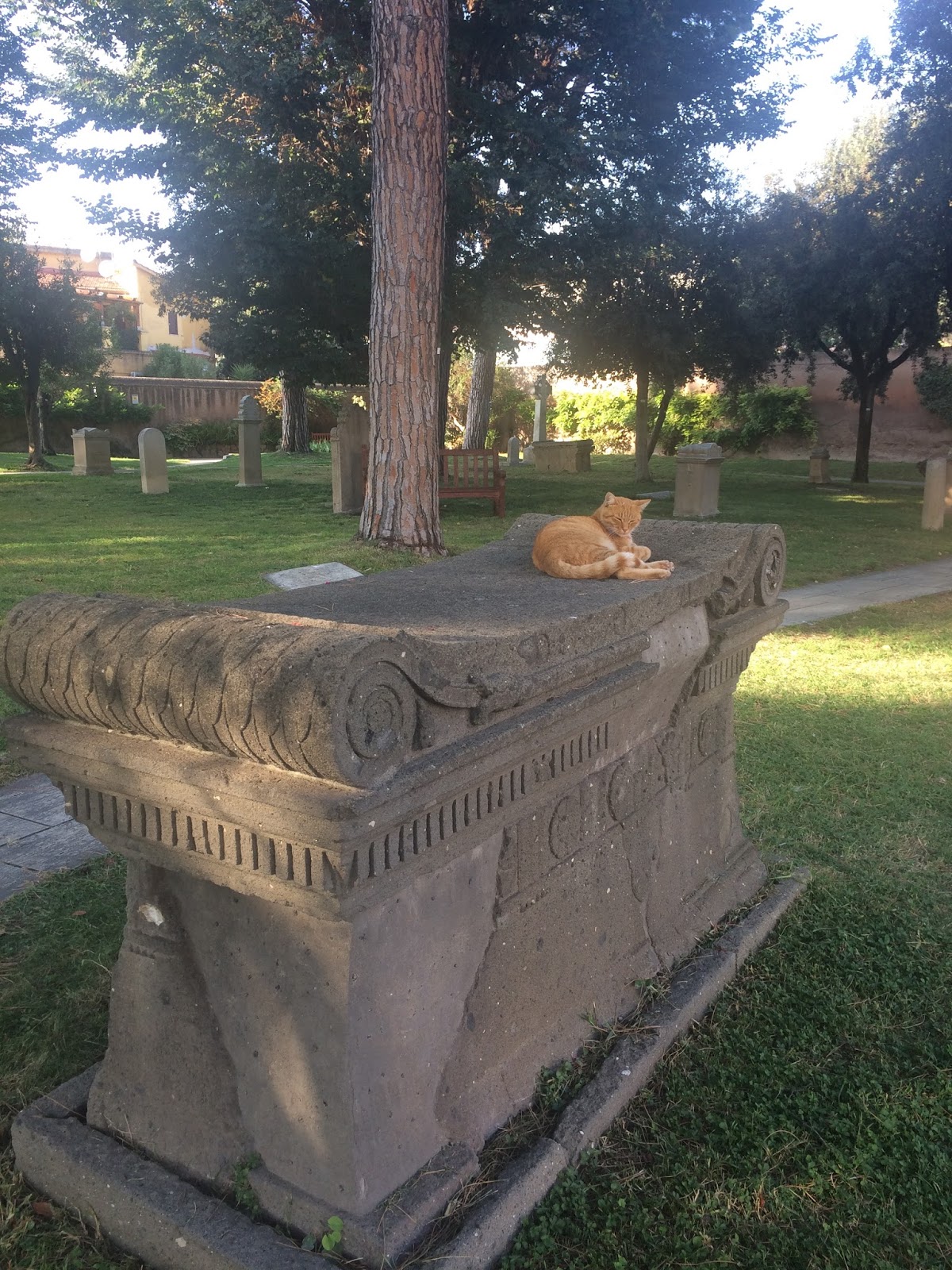 Rome From Home: Rome 365 - Protestant Cemetery