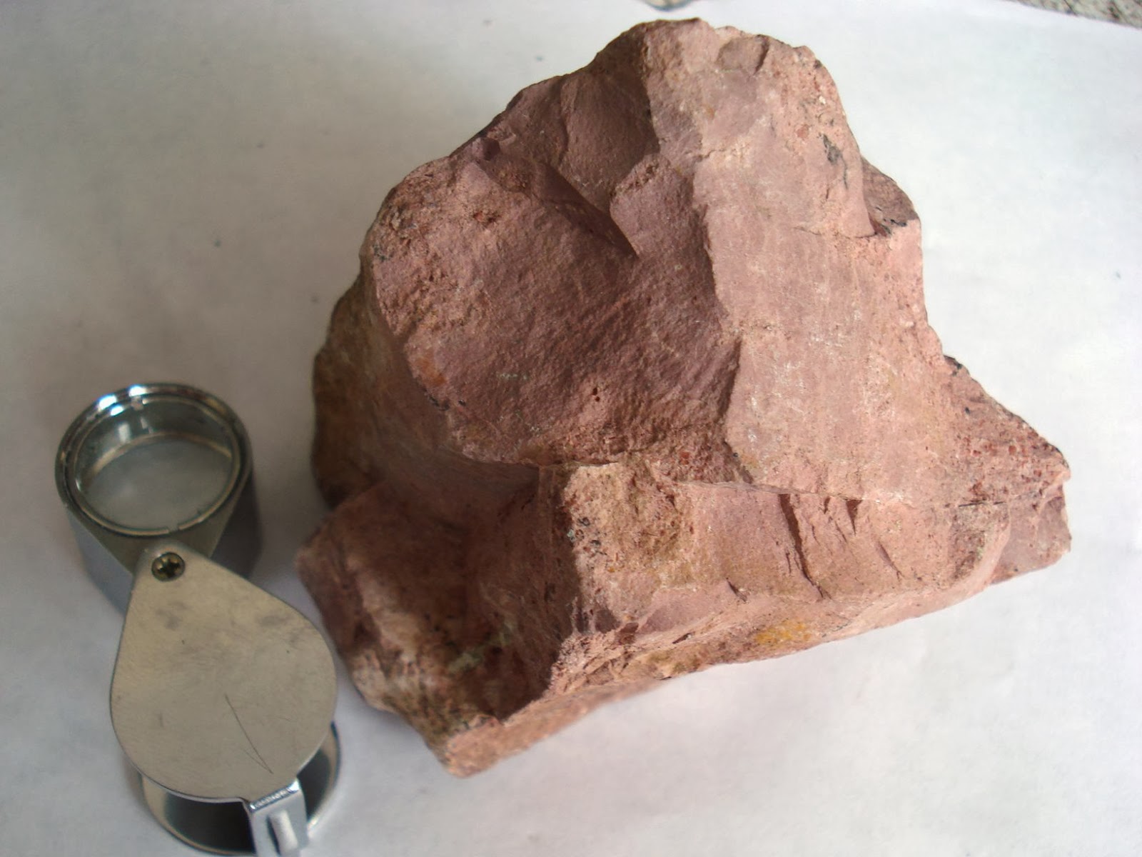 SCIENCE BLOG. YEAR 4: January 2014