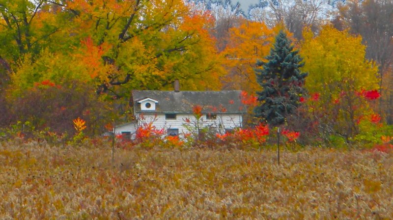 The Pondering Gulch: Frontyard Sense/Backyard Science