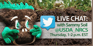 Green Schools: World Soil Day | Live chat with Sammy Soil
