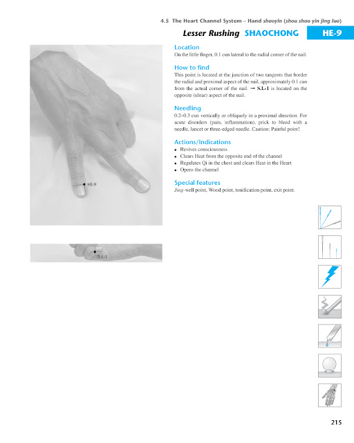 Acupuncture Masters: Acupuncture Points Database - Heart Channel