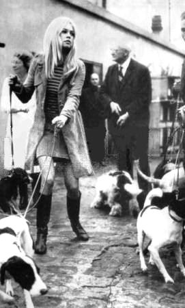 Brigitte Bardot Foundation