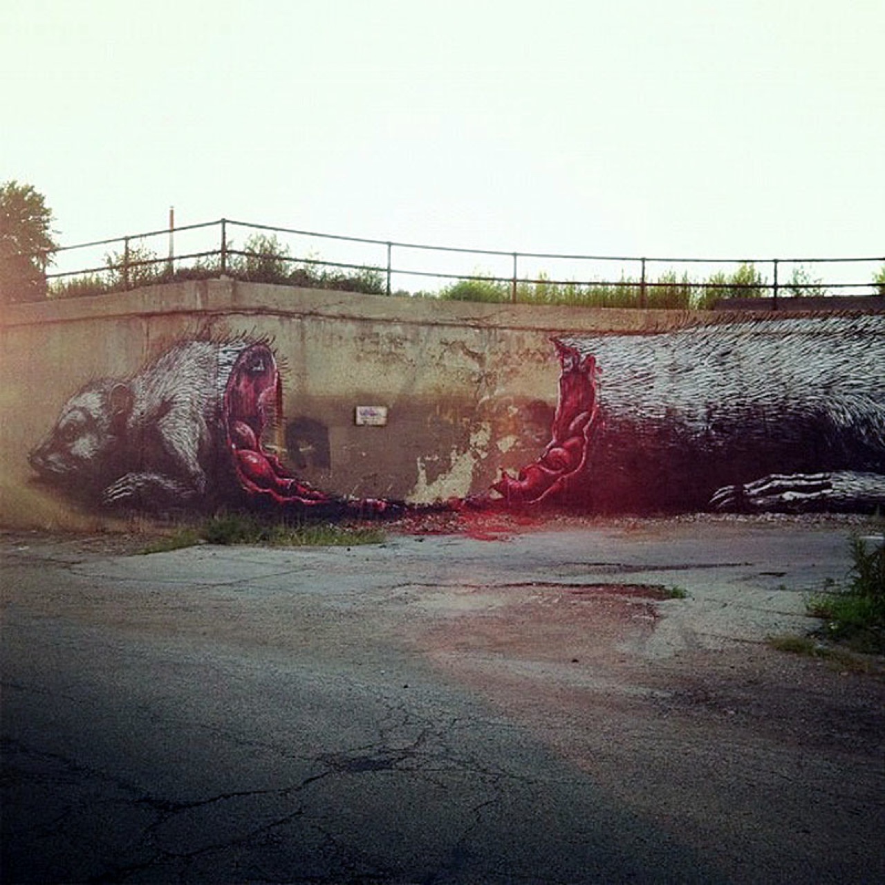 ROA New Mural In Chicago, USA – StreetArtNews