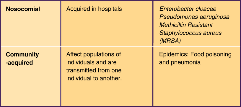Basic Bacteriology: Categories of Infections