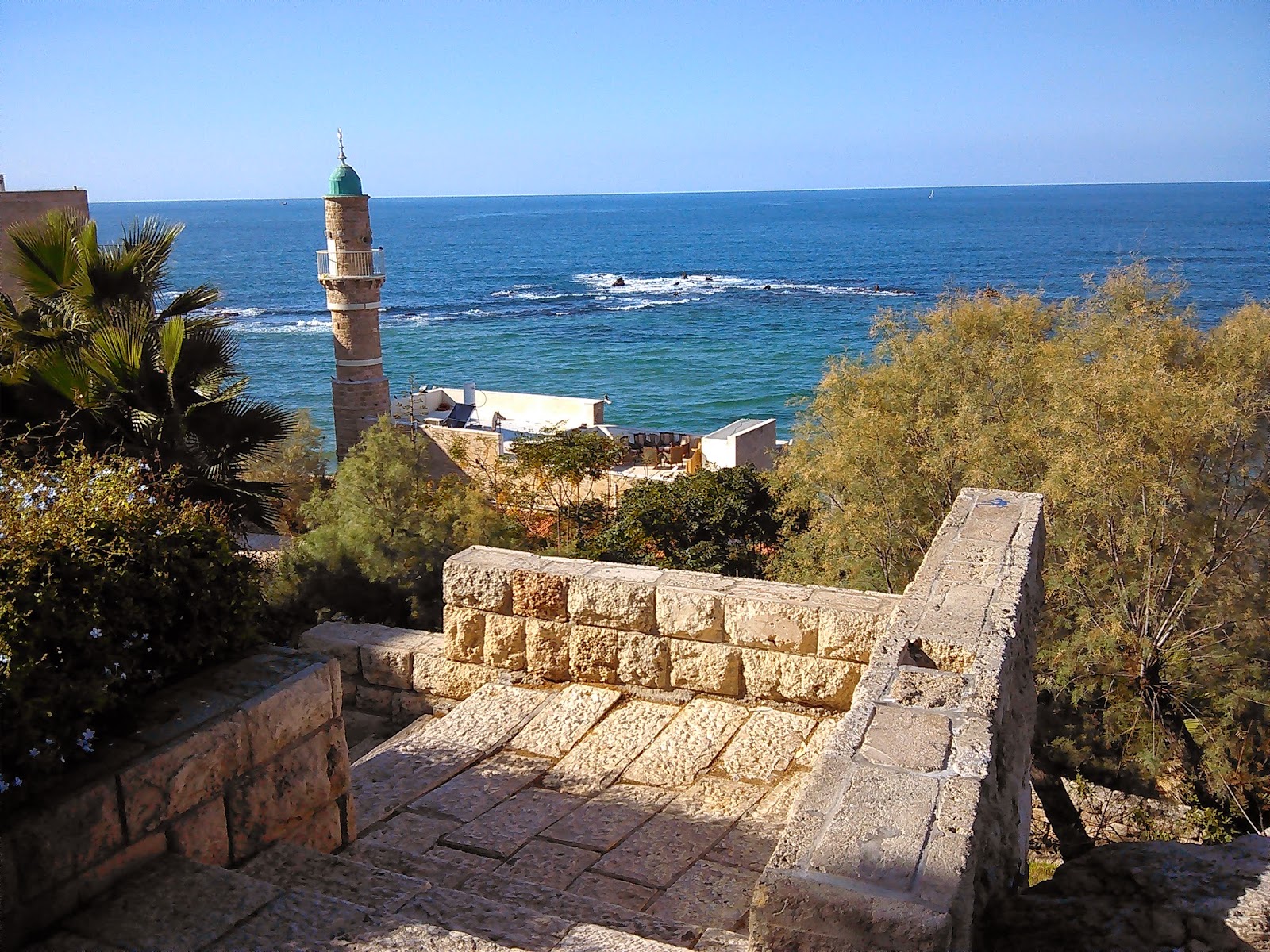 the faithpal: joppa
