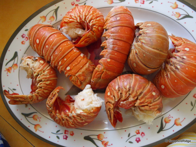 The Sapphire Ridge Chronicles: Minced Crawfish