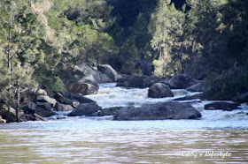 Libby's Lifestyle.: Bents Basin State Conservation Area, NSW: a day out ...