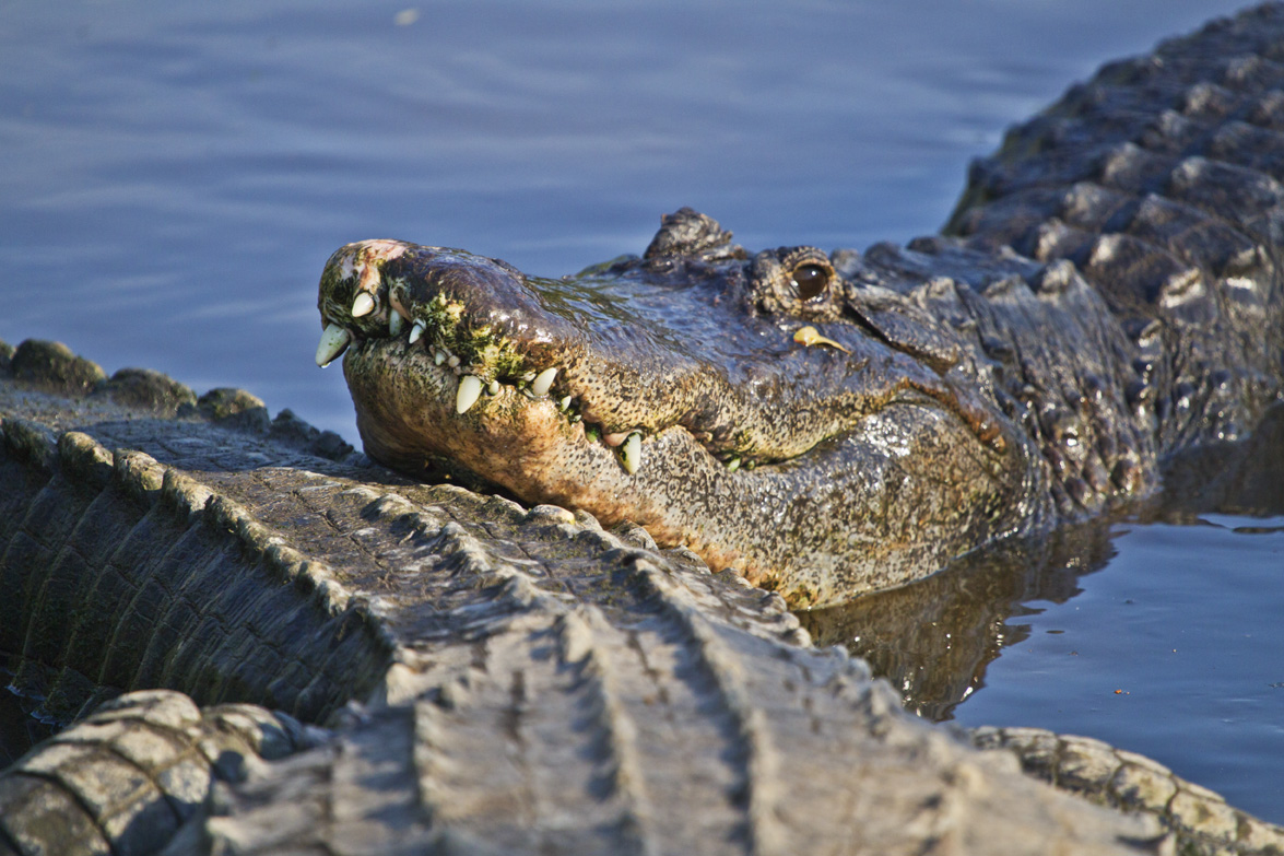 VanOrman Roadtrips: A Great Place for The Lazy Nature Photographer