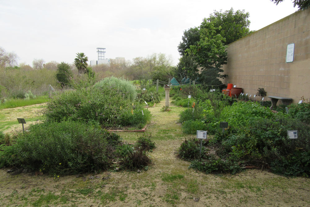 Mother Nature's Backyard - A Water-wise Garden: Current Photos of ...