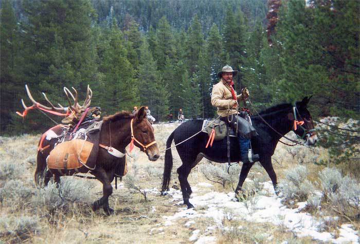 Lone Star Parson: Elk Hunt Bear Wrangler