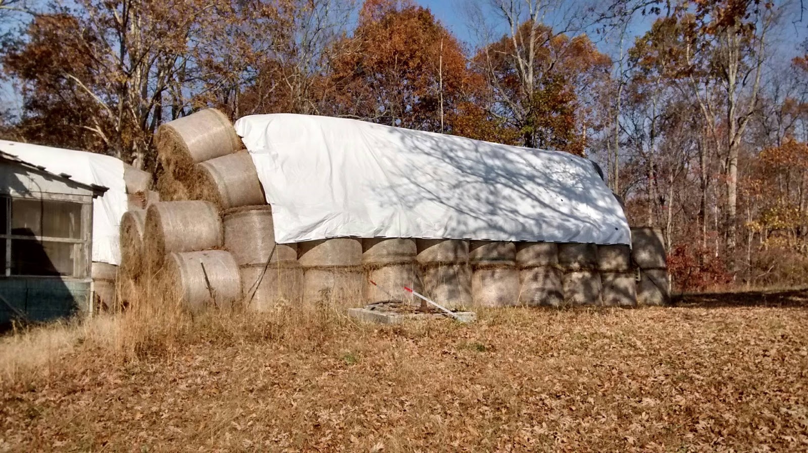 White House Farms: Net Wrapped Barn or Tarp Hay