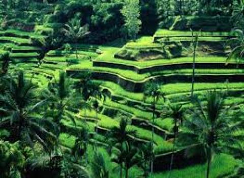 10 Indonesian Arts and Cultures Recognized by UNESCO - Whats Indonesia