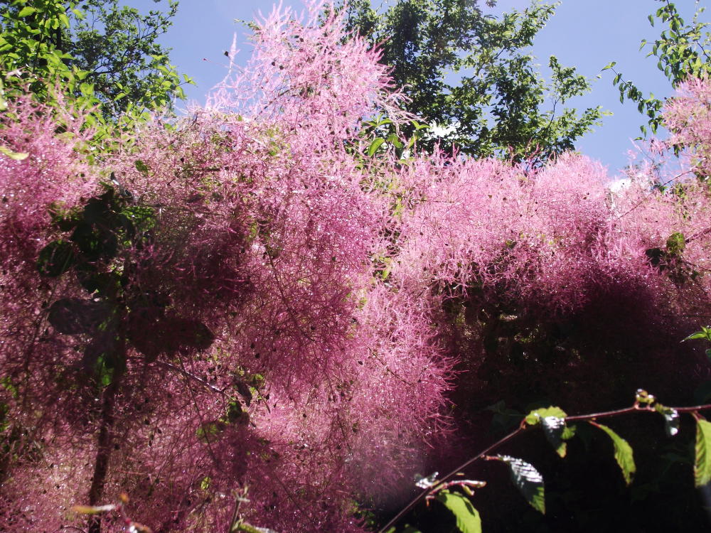 Live by the Sun - Love by the Moon: DAY 75 - Attending Church in a ...