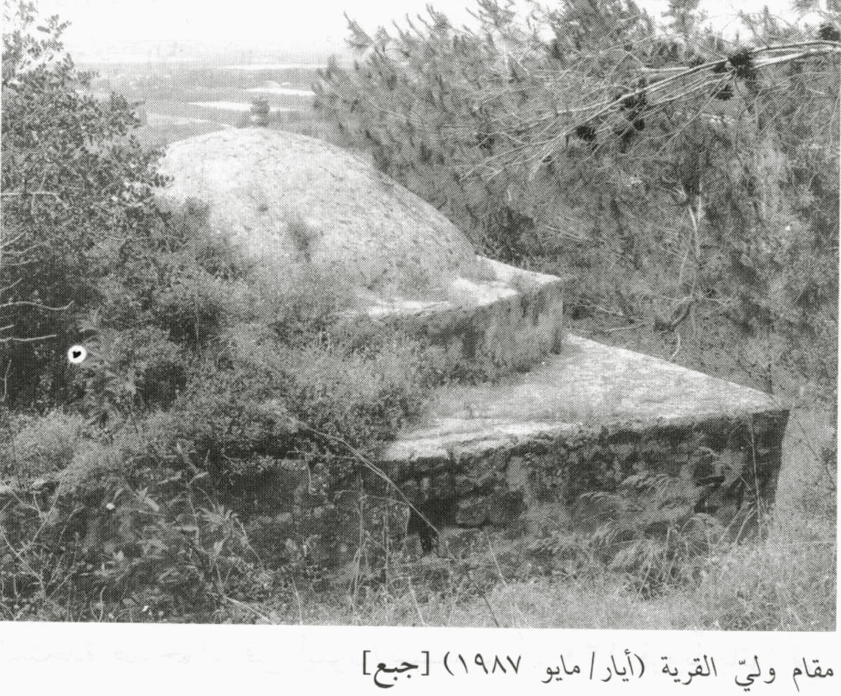 Muslim shrines in Israel: 6. Maqams. Sharon Plain and Carmel