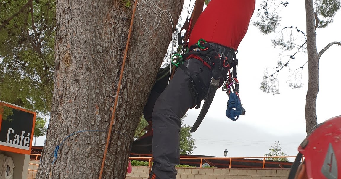 Buenas prácticas de la trepa y técnicas de rescate en altura
