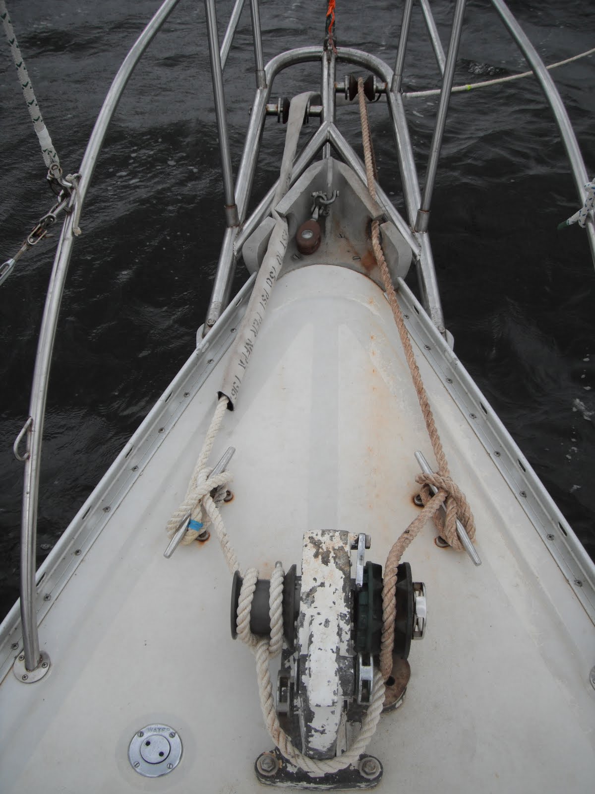 SV C'est la Vie: 6/26/11 - 7/3/11