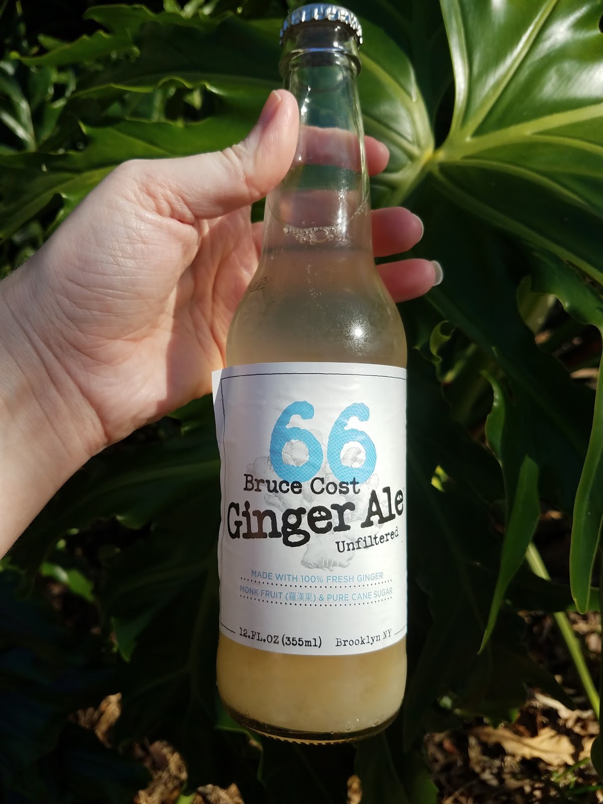 The ABCD Diaries: Refreshing Bruce Cost Ginger Ale with Real Pieces of ...