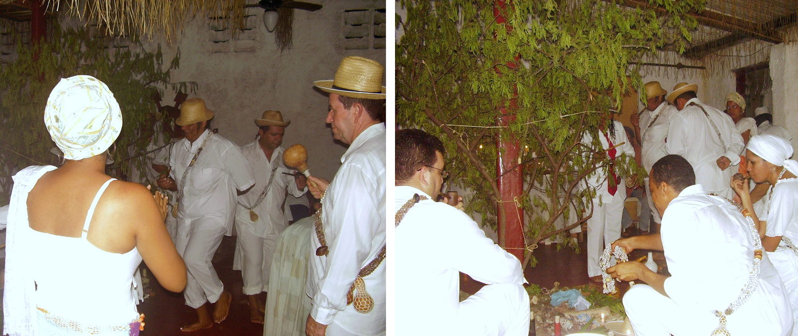 Umbanda UTHiS!: Umbanda de Jurema