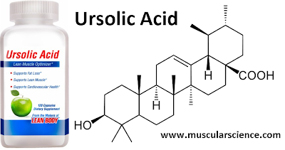 Ursolic Acid | Muscular Science