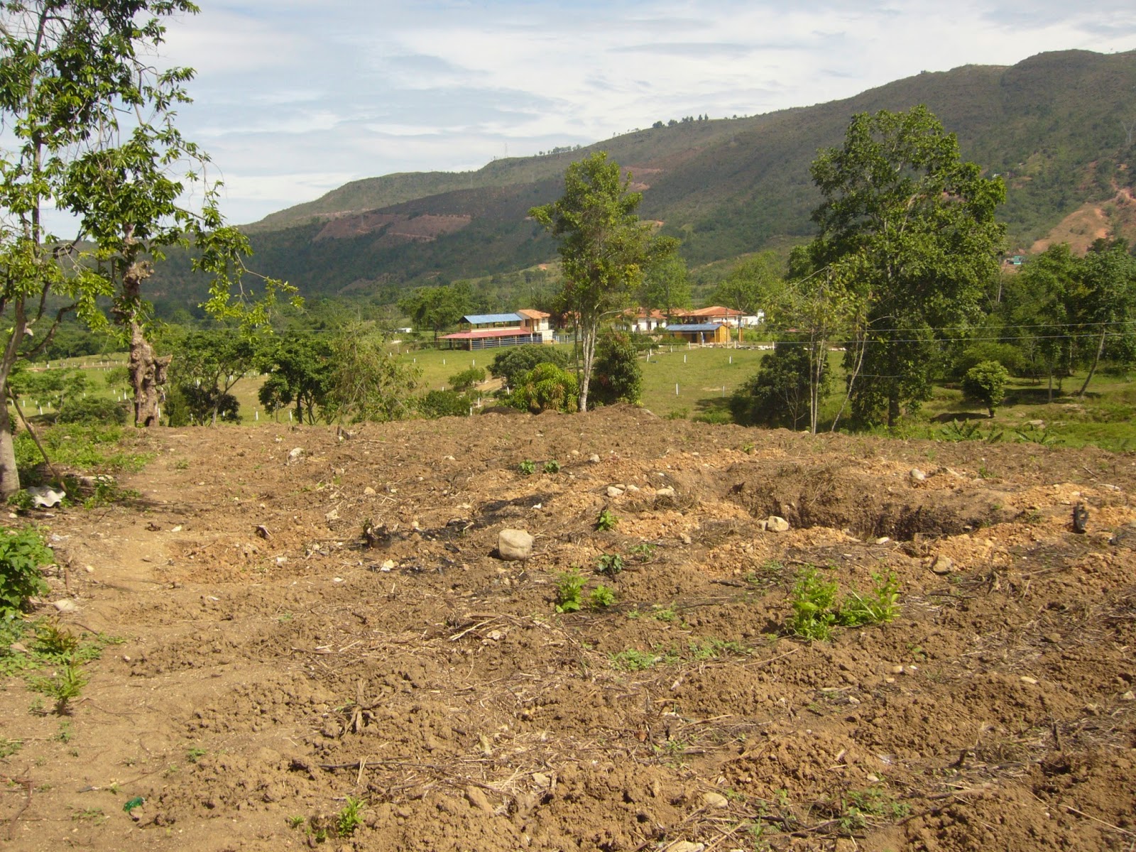 Finca Raiz Familia Feliz: Parcelas en Venta