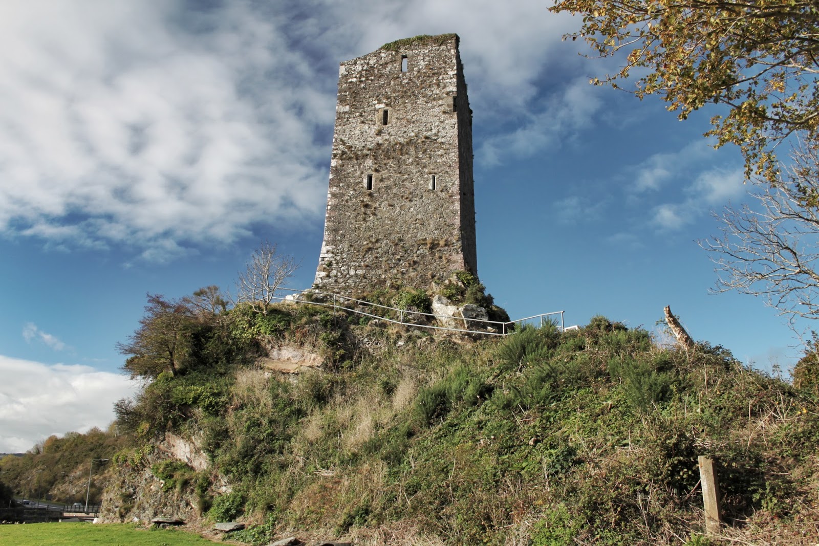 Historic Sites of Ireland: Ferrycarrig Castle
