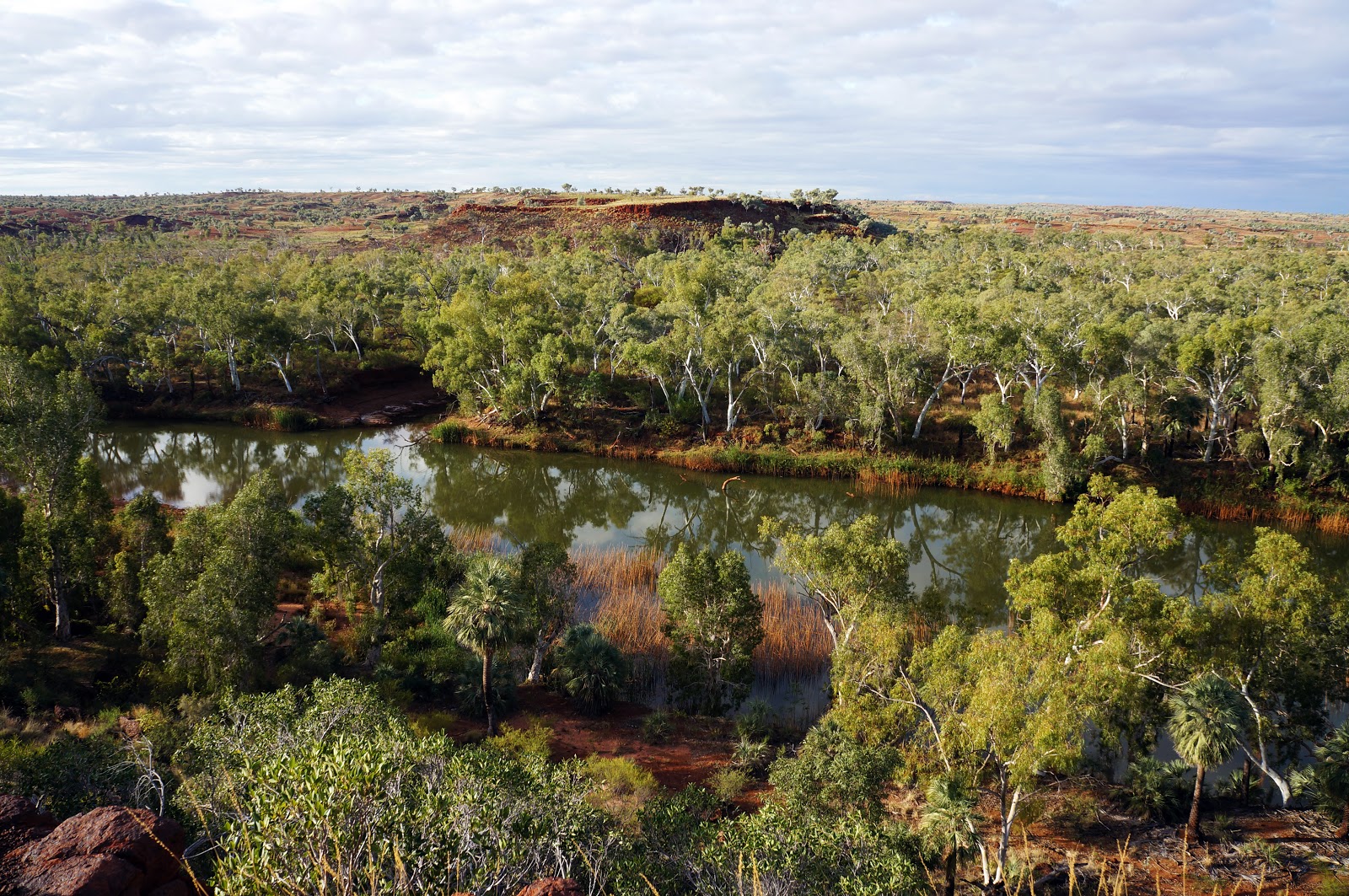 Camel Trail (Millstream Chichester National Park) ~ The Long Way's Better