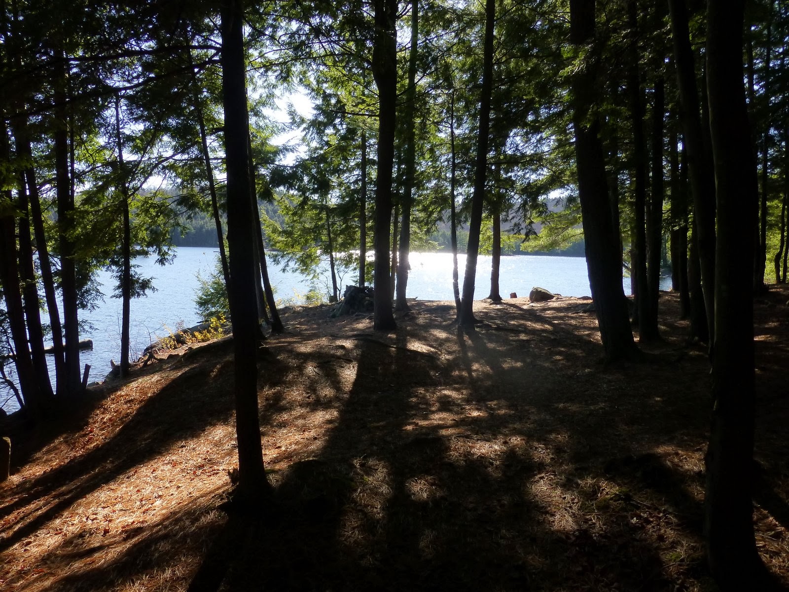 Off on Adventure: Jabe Pond - Lake George Wild Forest - 11/3/13
