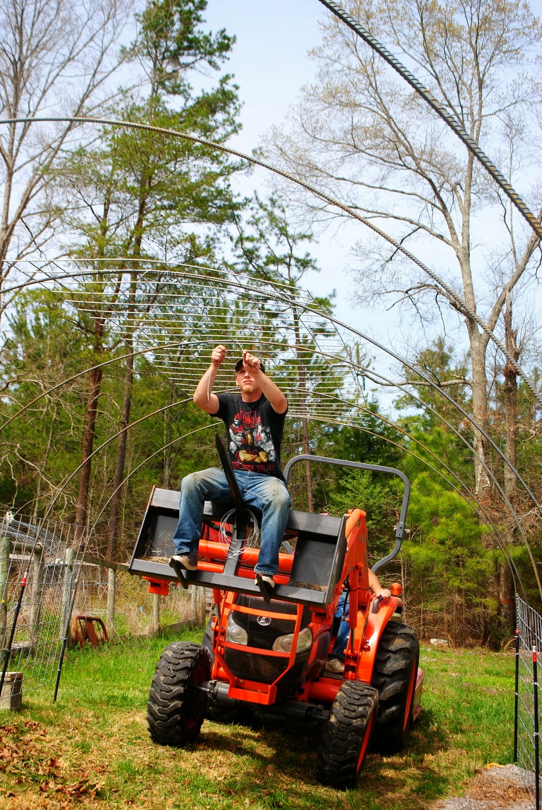 Adventures on Zephyr Hill Farm: DIY Rebar Grape Arbor