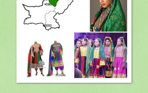 Pakistani culture dresses.com