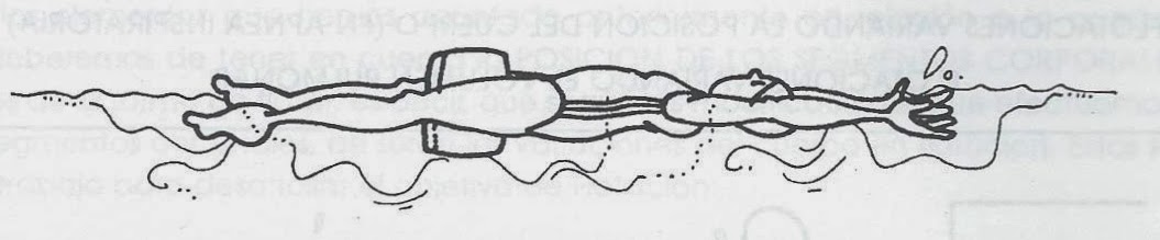 La Enseñanza de la Natación: ETAPA 1: LA FLOTACIÓN