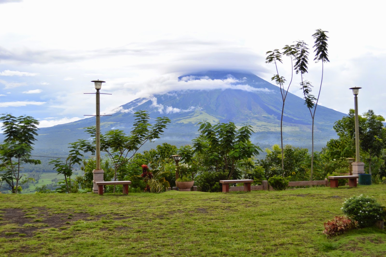5 Reasons Why Mayon Volcano Rocks - Pinoy Bonsai