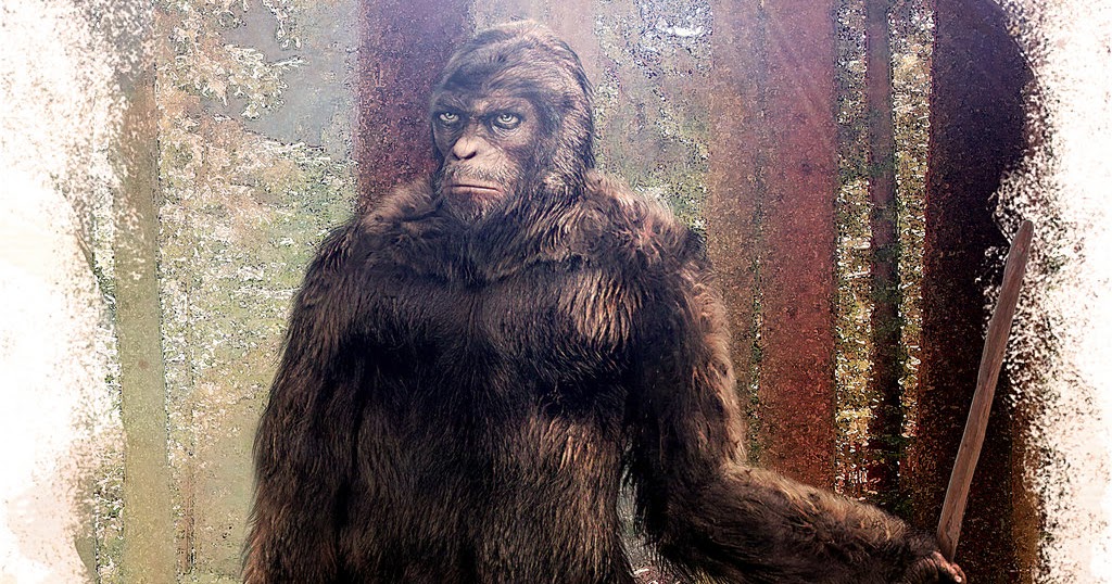 sasquatchobservations.blogspot.com: SOUNDS OF SASQUATCH