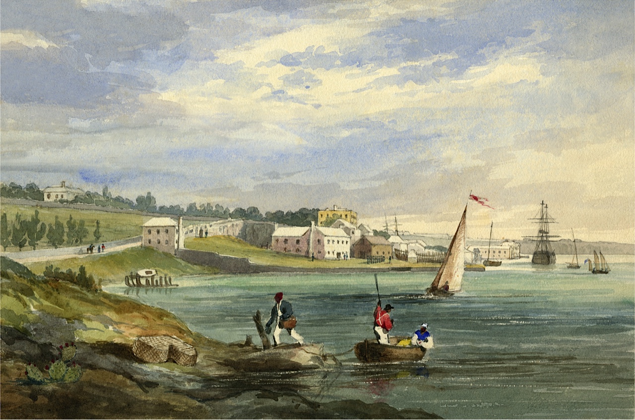 DR. SAVAGE'S BERMUDA