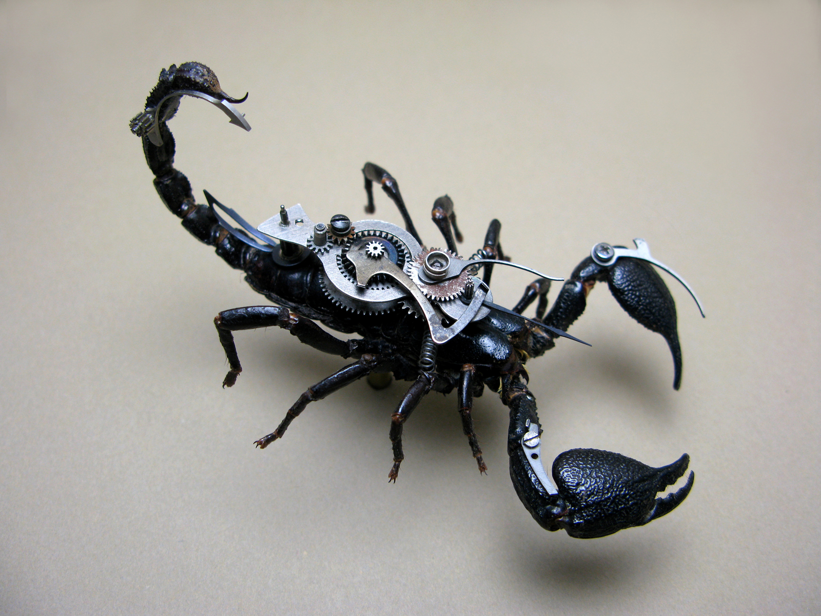 Insect Lab, los insectos roboticos de Mike Libby | Adventure Graphics