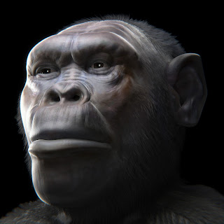 ATOR: Homo georgicus