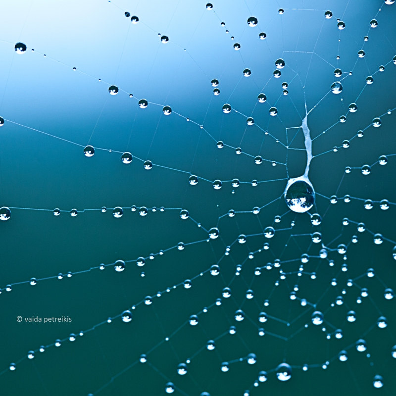 A moment of crafts: Reasons to love rain. 10 things Sunday.