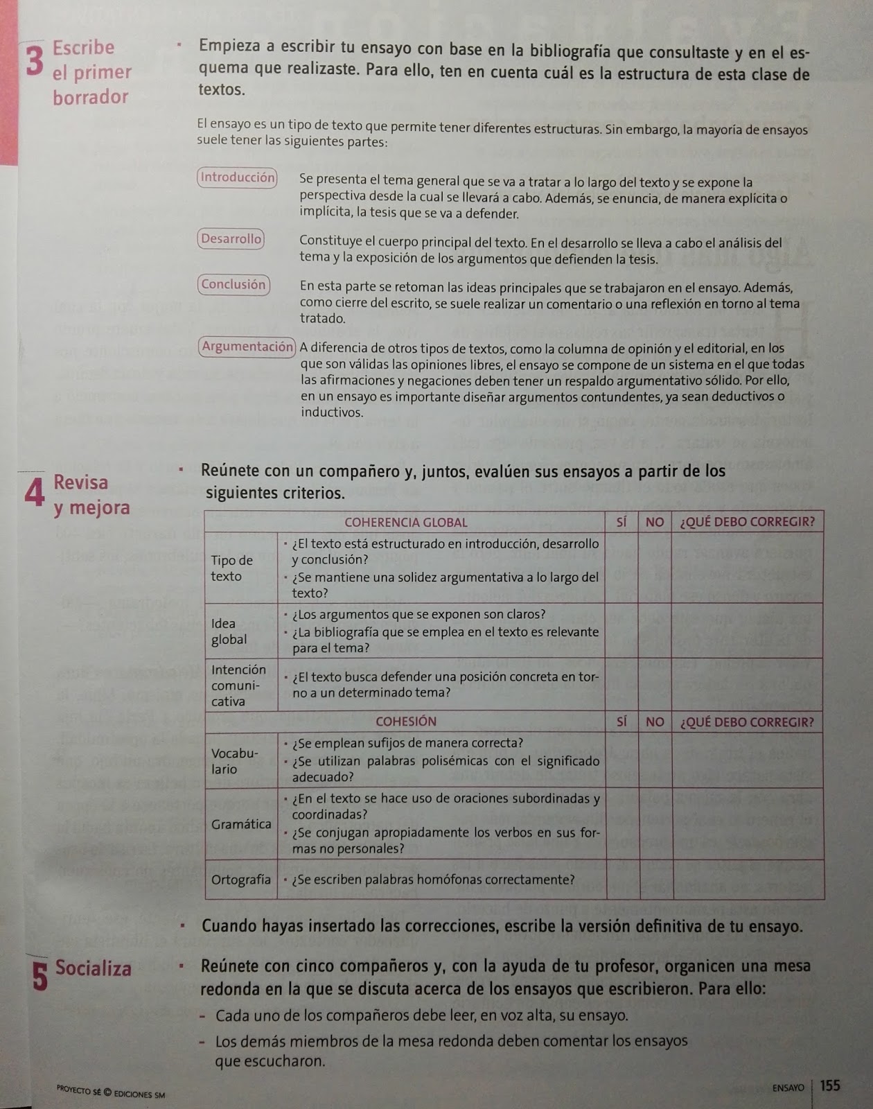 ESPAÑOL Y LITERATURA: 11° PAUTAS PARA EL ENSAYO y fotos del libro