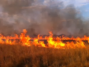 envinronment: dangers of veld fire