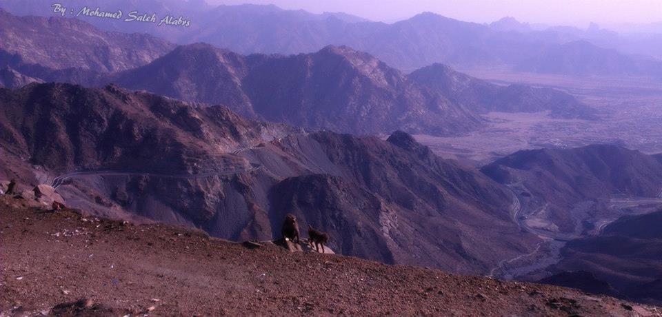 Hada road between Mecca and Taif | Image from Saudi arabia