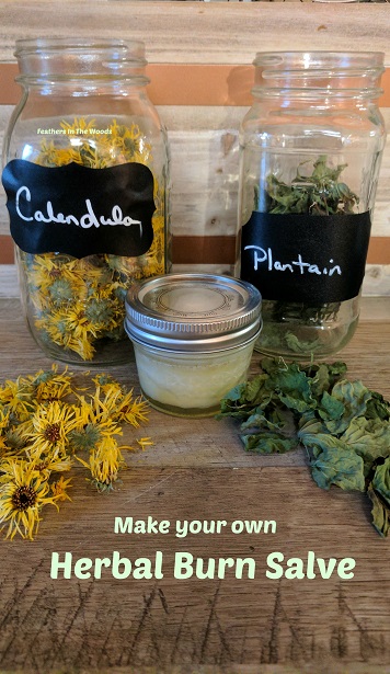 How To Make A Burn Salve Feathers In The Woods how-to-make-a-burn-salve-feathers-in-the-woods
