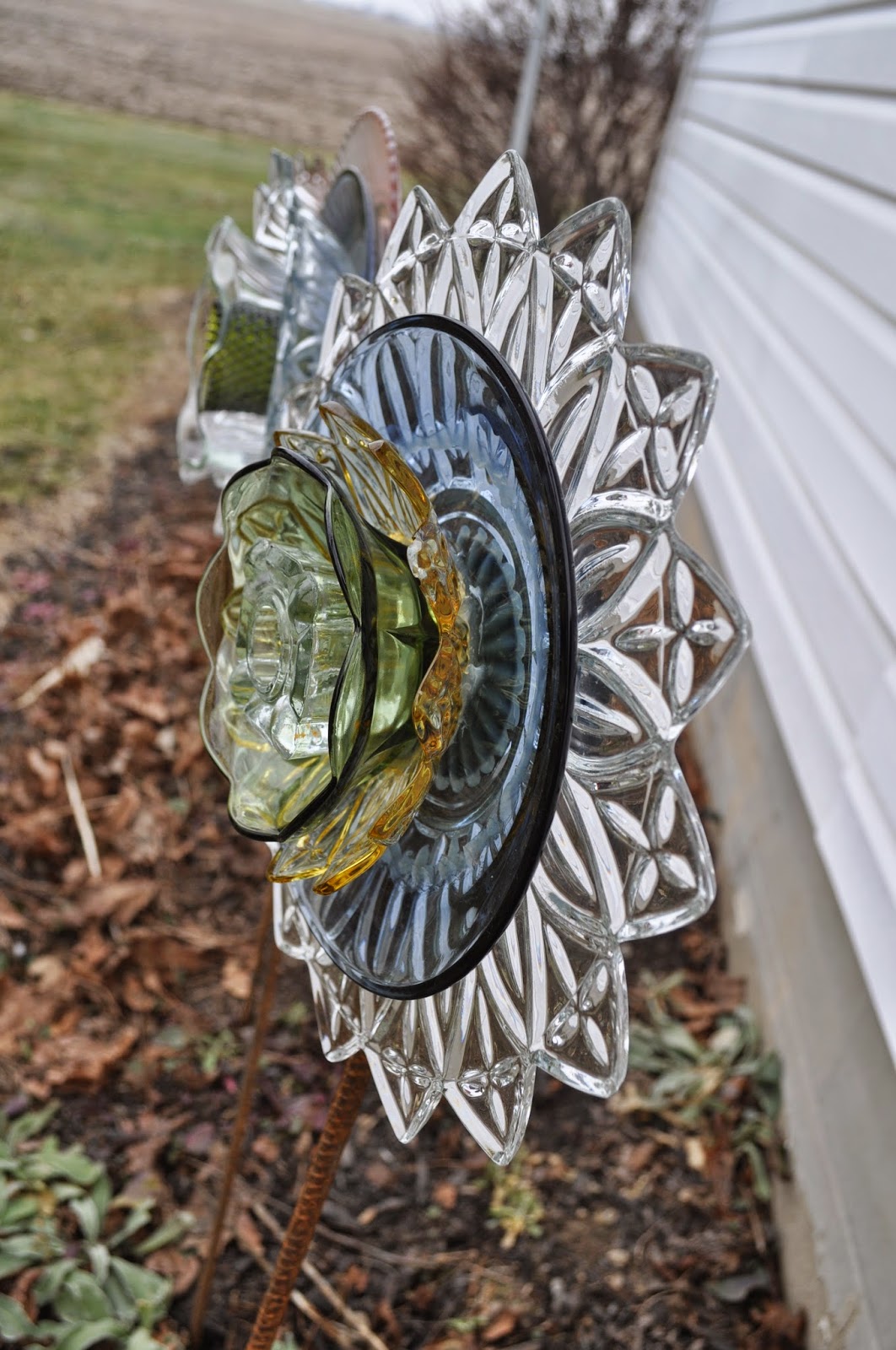 Grassy Branch Farm: Glass Garden Flowers